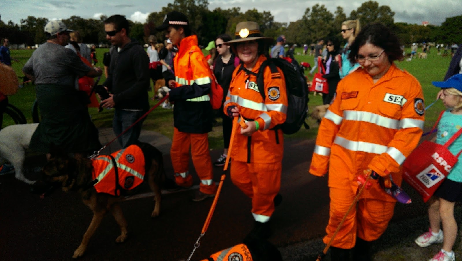 Search and Rescue Dogs Western Australian SES: RSPCA Million Paws Walk 2014 Search and Rescue Dogs Western Australian SES: RSPCA Million Paws Walk 2014
