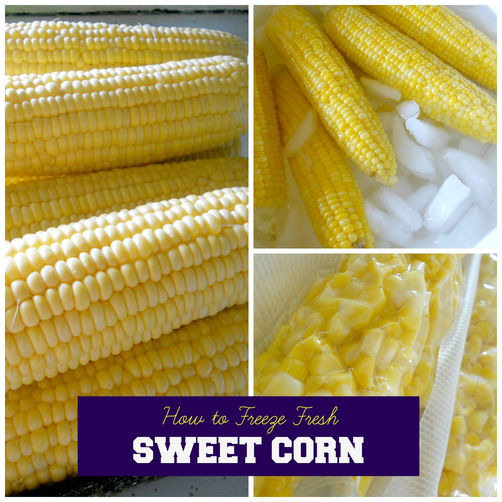 How to Freeze Fresh Sweet Corn | Ally's Sweet & Savory Eats