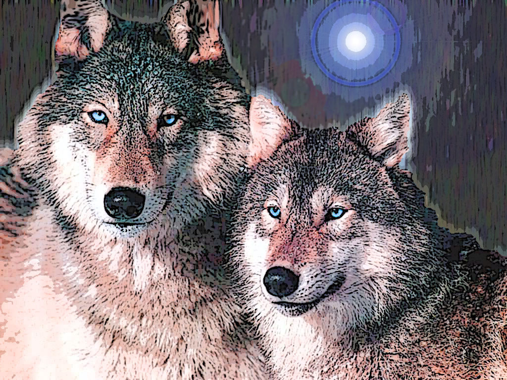 WOLVES IN THE MOONLIGHT ~ DESKTOP WALL PAPERS