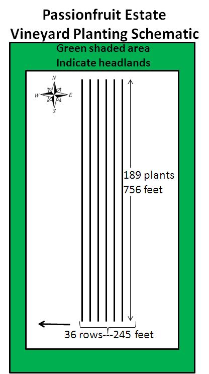 EnoViti: Vineyard Planting Schematic