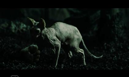 Amber Brunt AS Media: The Book of Eli- Opening Sequence