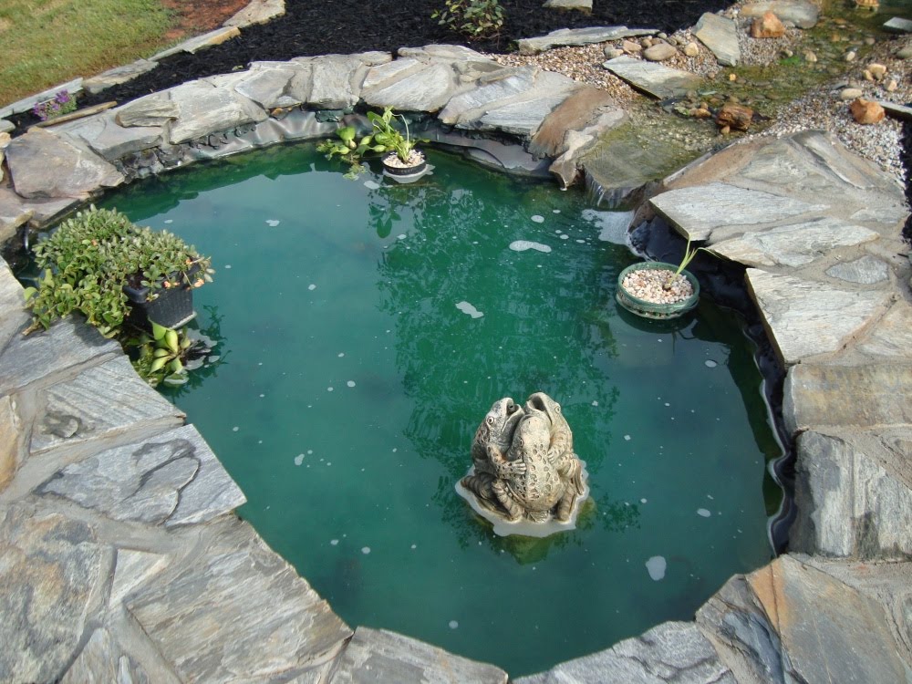 Pond Designs: Natural swimming ponds