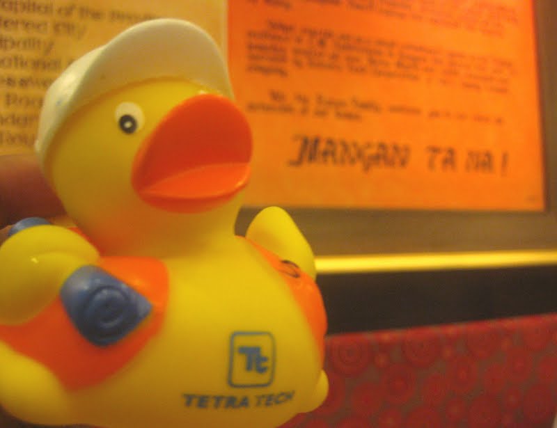 Percy's World of Toys: 2165. Tetra Tech Rubber Ducky