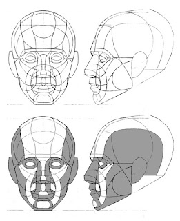 Draw Speak: Head Diagram