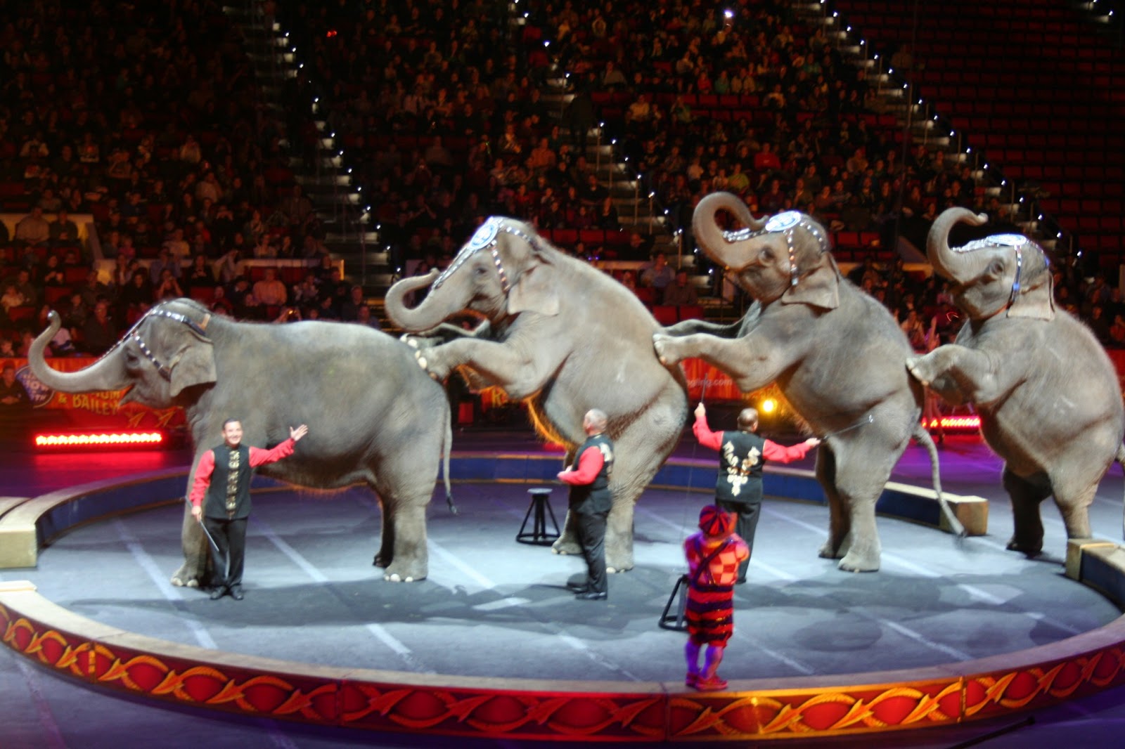 Pengin99's World: Don't miss the Ringling Bros/Barnum & Bailey DRAGONS ...