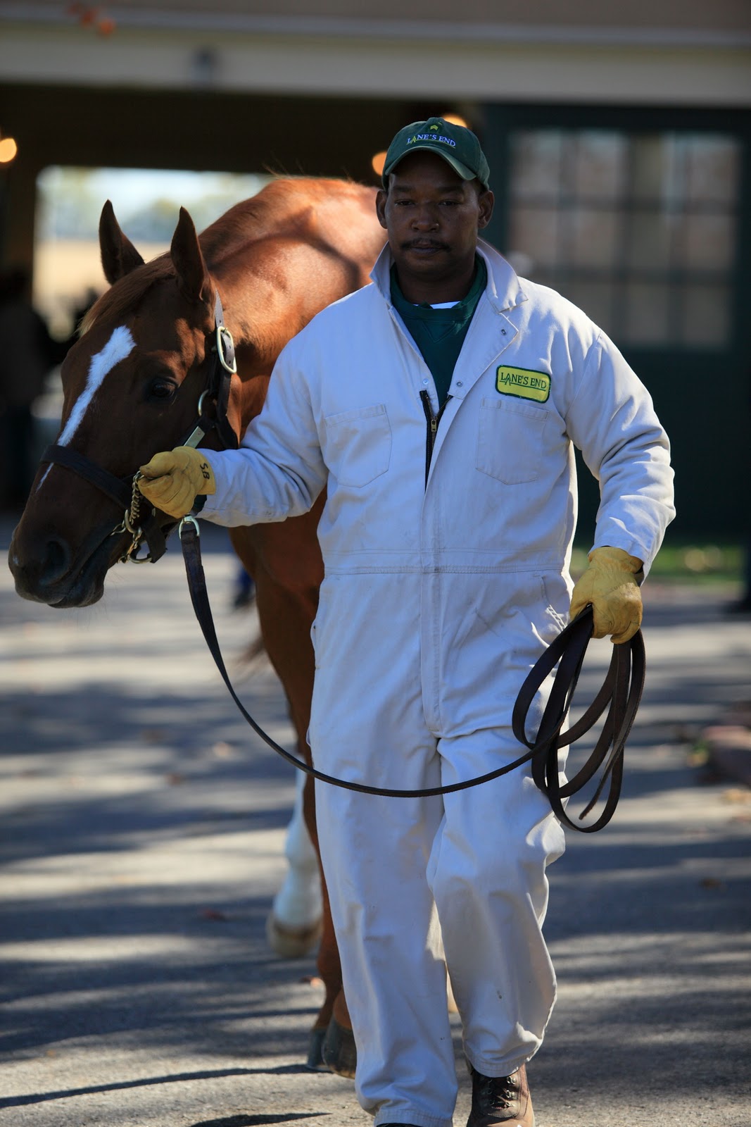 Past the Grandstand: To See a Champion
