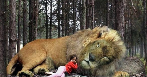 Running the Race: Aslan, You're Bigger