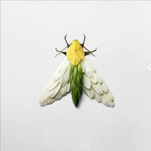 Artist of the day: Artist of the day, May 4-5: Raku Inoue, Canadian ...