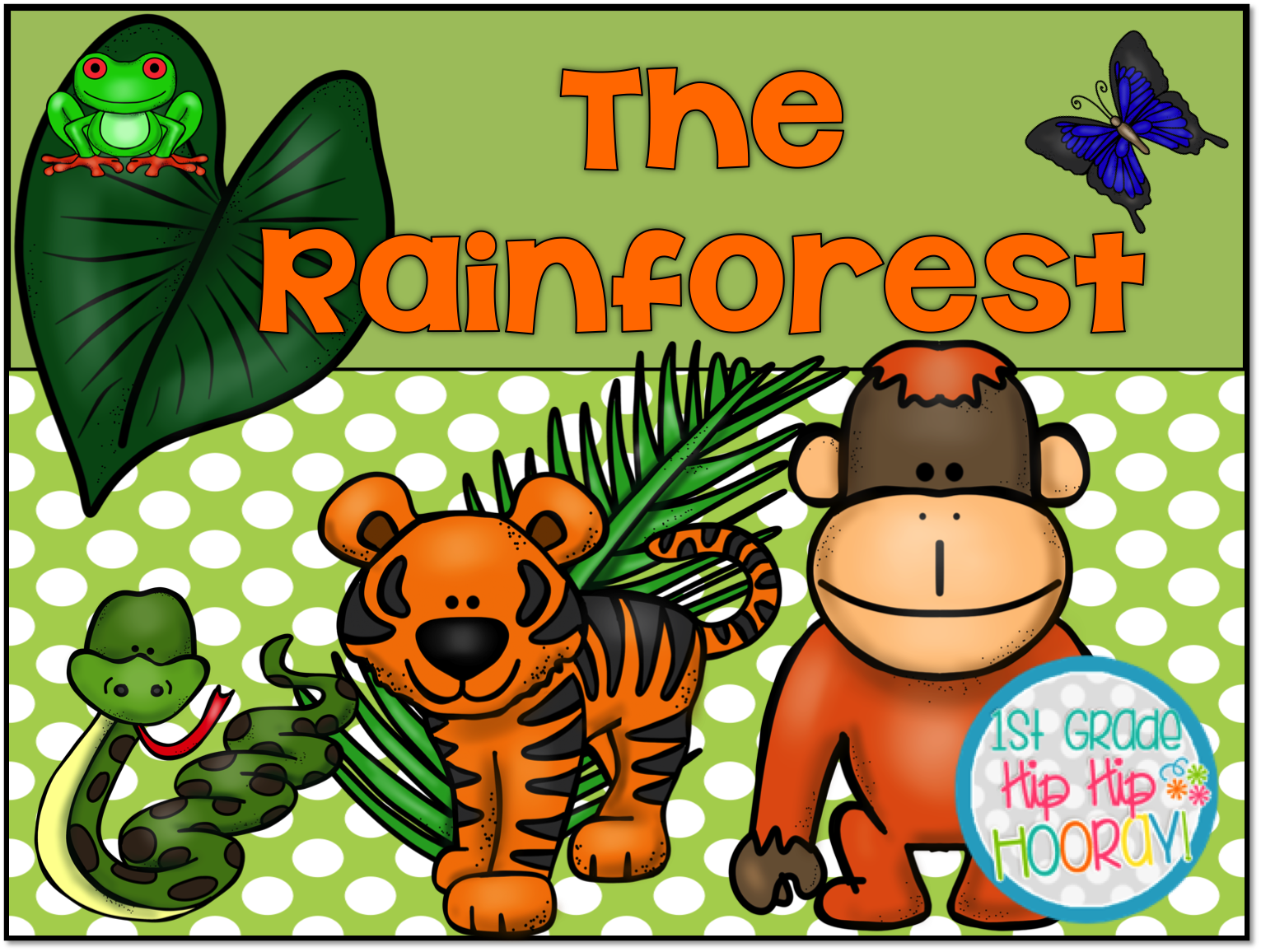 1st Grade Hip Hip Hooray!: A Rainforest Adventure for the Primary Child