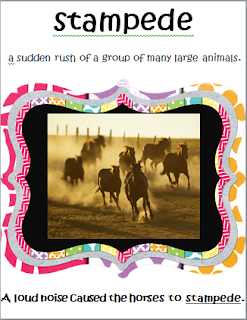 Learning with Firsties: First Grade Reading Street Unit for A Southern ...