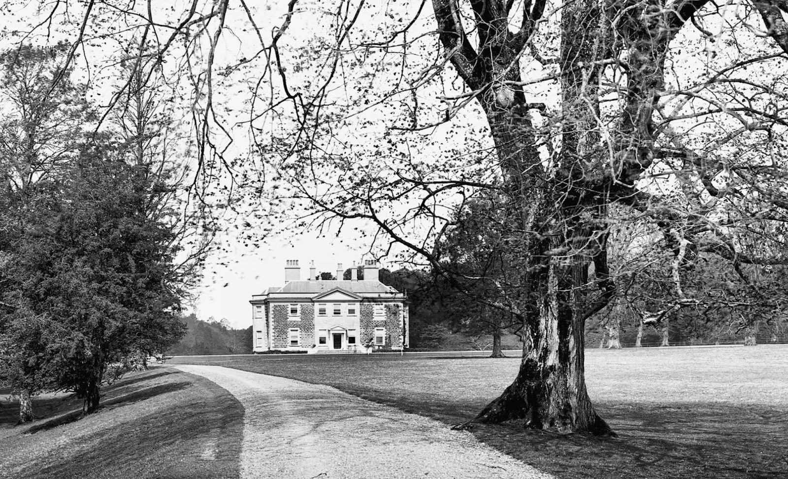 Lord Belmont in Northern Ireland: Dawson of Castledawson