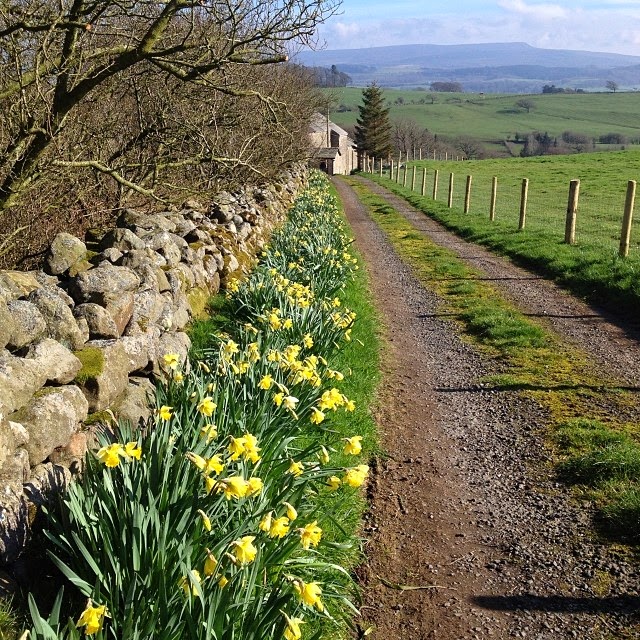 Just Call Me Ruby: April 2014