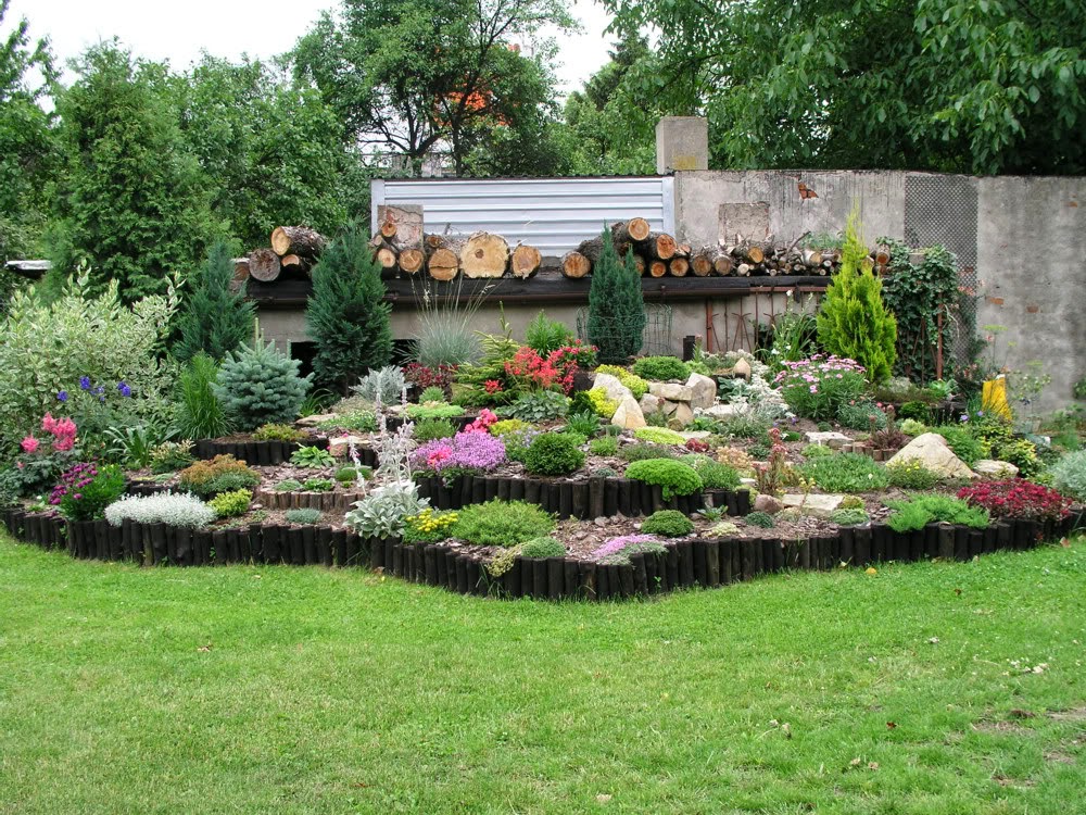 PIĘKNE SKALNIAKI ~ KRAINA MARZEŃ -RÓŻA