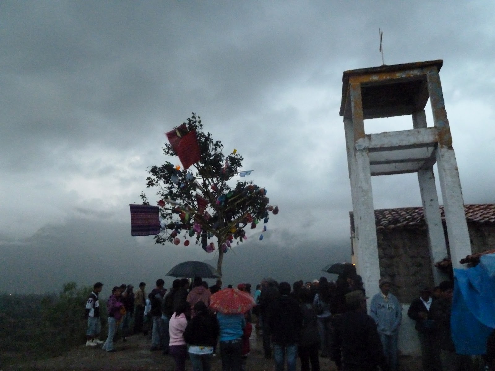 Peacecorts: Yunsa Tree