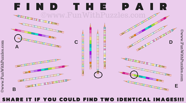 Challenging Find the Pair Puzzle: Spot the Alike Set