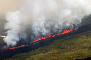 Desarrollo Sustentable: Conceptos básicos de impacto ambiental
