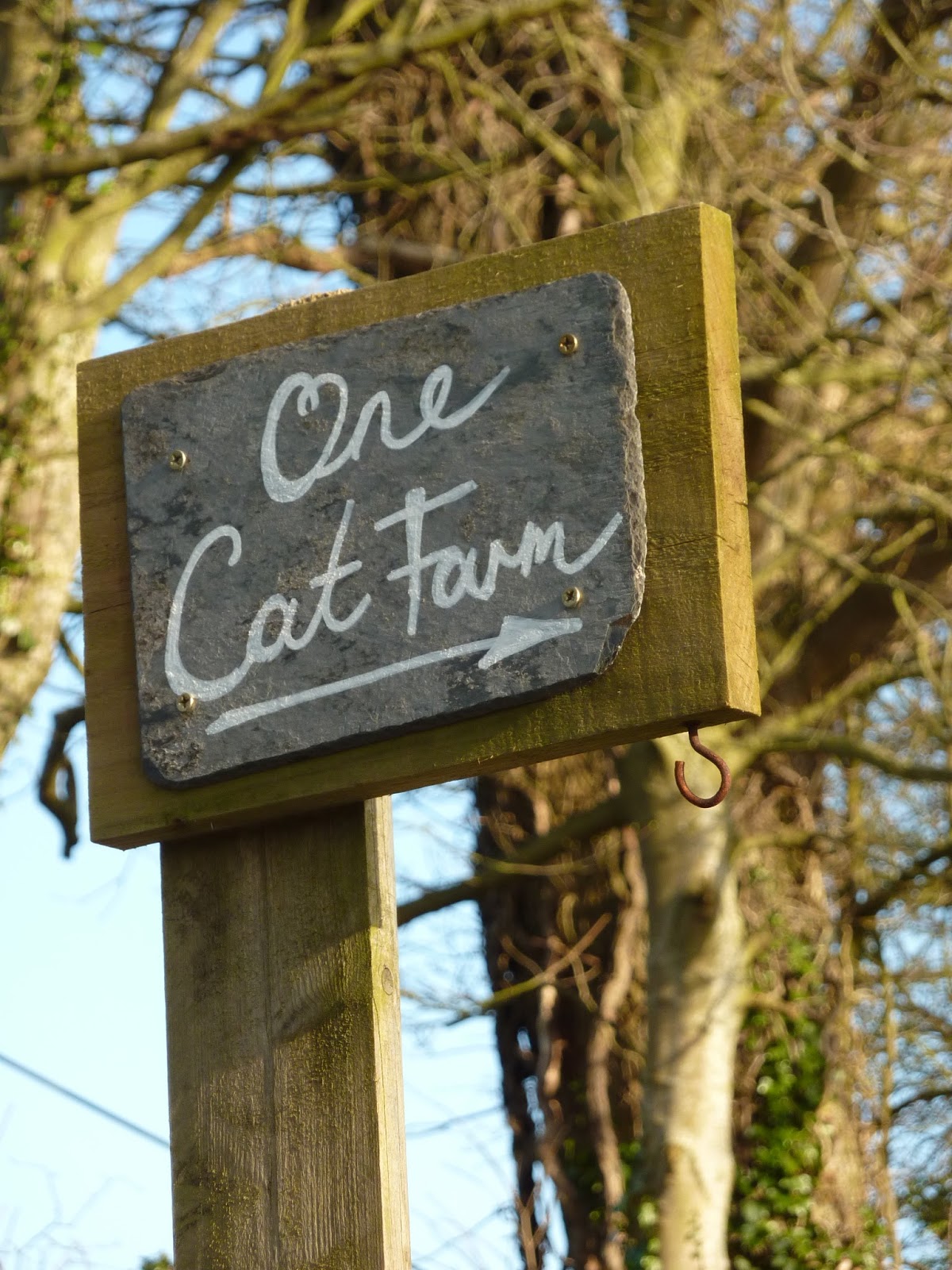 LIFE AS IT IS : One Cat Farm Glamping site, Wales - A review