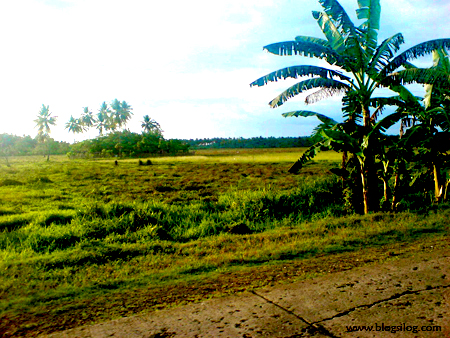 Kwatro Khanto: Ang Bakasyon: Nakalipas