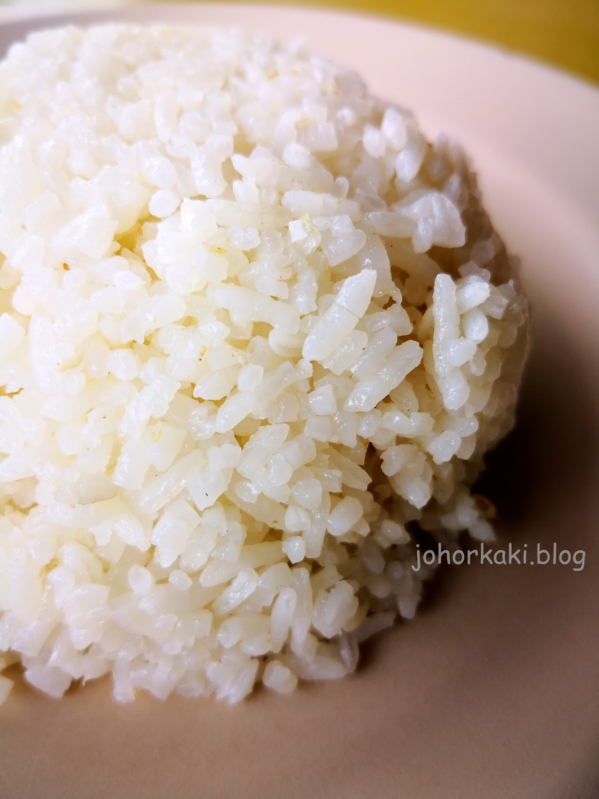 Ah Lai Chicken Rice in Pulai, Johor 亞赖鸡饭 |Tony Johor Kaki Travels for ...