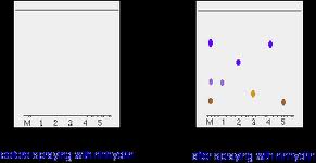 wien_winahyu.aw: ANALISIS PENGAWET METODE KROMATOGRAFI LAPIS TIPIS