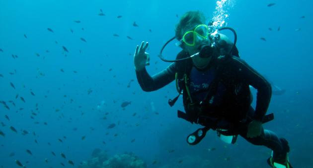 Teknik Dasar Berenang