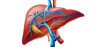 Transaminitis ICD-10, Definition, Symptoms, Causes, Treatment - Health ...