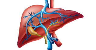 Transaminitis ICD-10, Definition, Symptoms, Causes, Treatment - Health ...