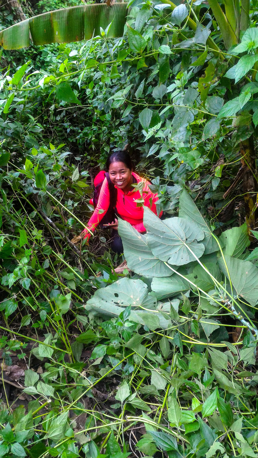 Mt. Susong Dalaga in Olongapo City, Zambales - Playing Tourist ...