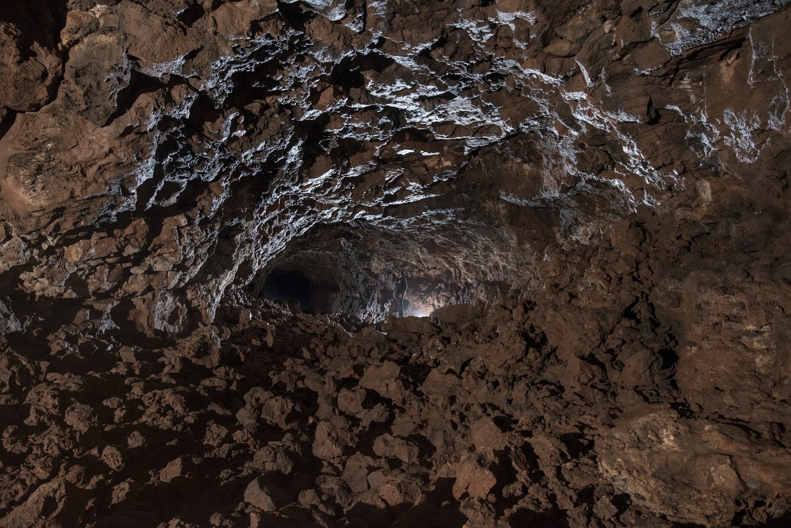 BASALT CAVE. COCONINO NATIONAL FOREST - ADAM HAYDOCK