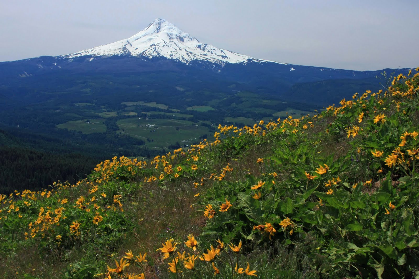Linda's Lens: Bald Butte