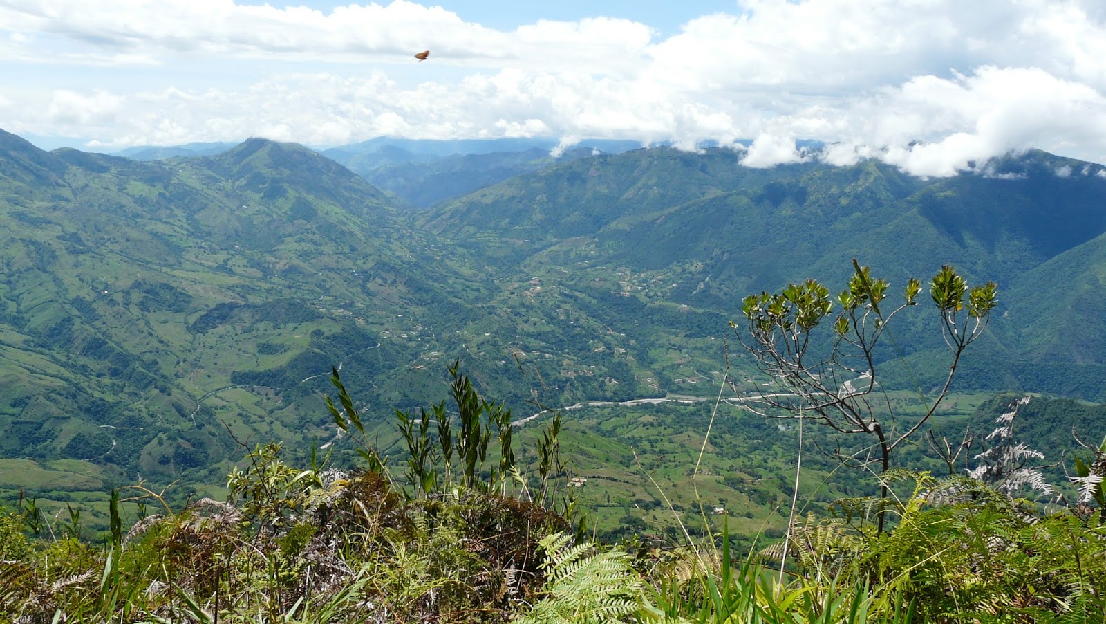 miguelmochilero : Cerro Tusa (Venecia-Antioquia)
