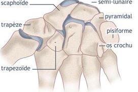 Un médecin du sport vous informe