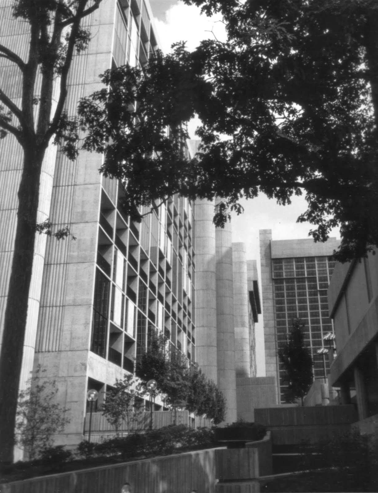 The Blue Remembered Hills™: A text