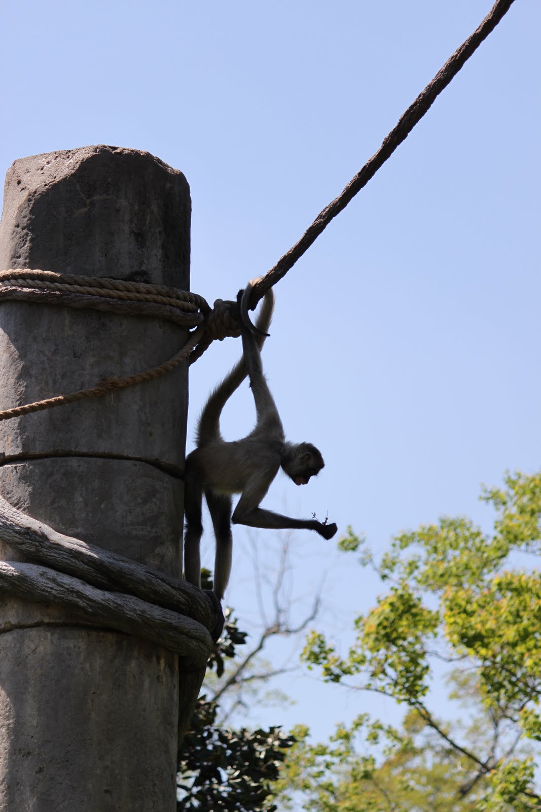 The Robertson Family: New Orleans Zoo