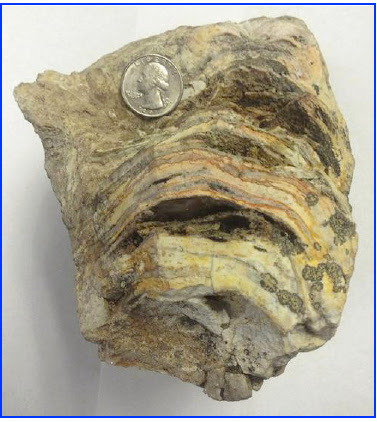 Sciency Thoughts: Examining an Ordovician Stromatolite with a tool to ...