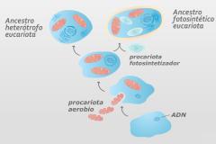 cienciablog: 08/14/12