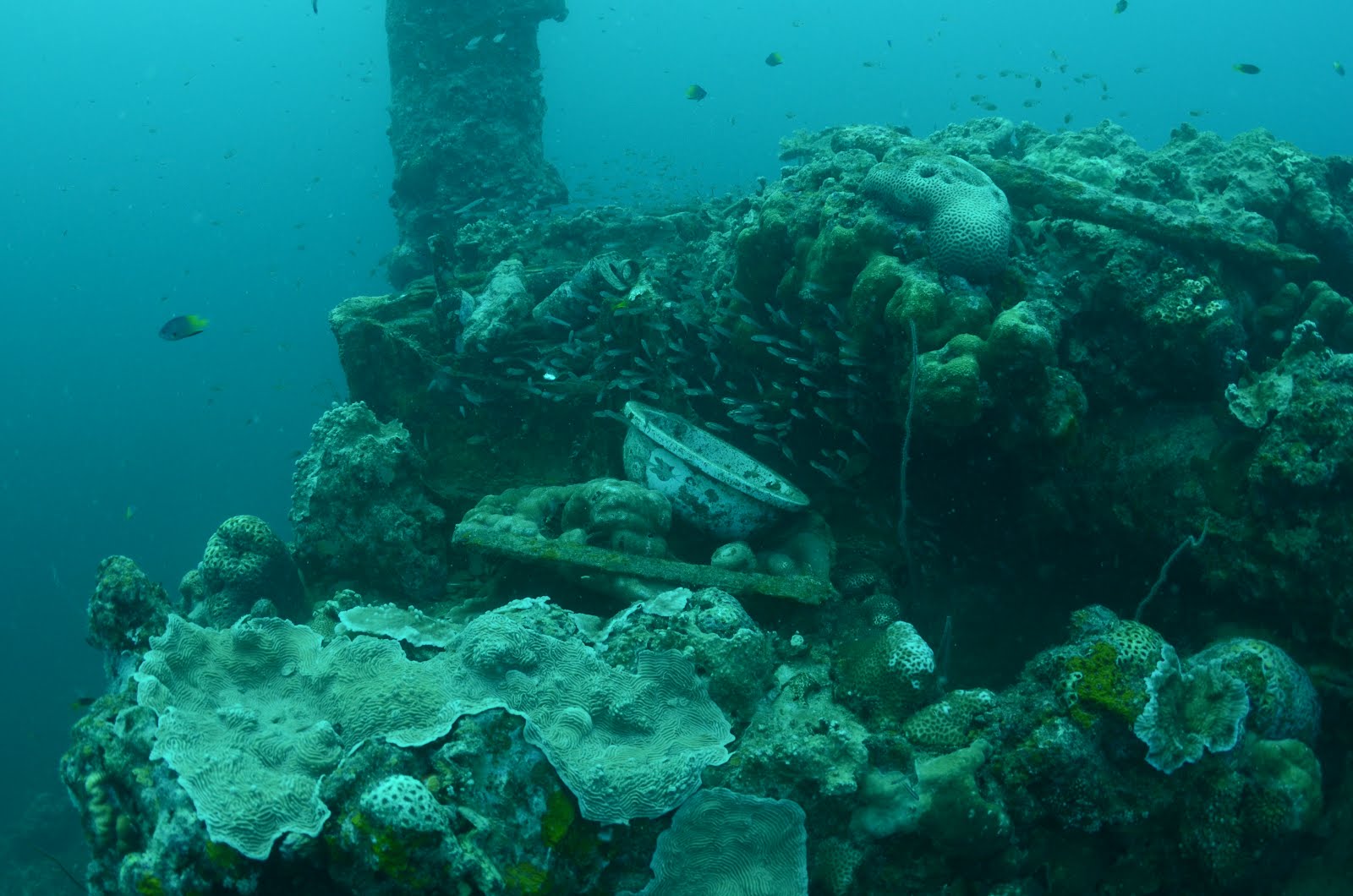 Adventure Thug: Wreck of the Iro Maru