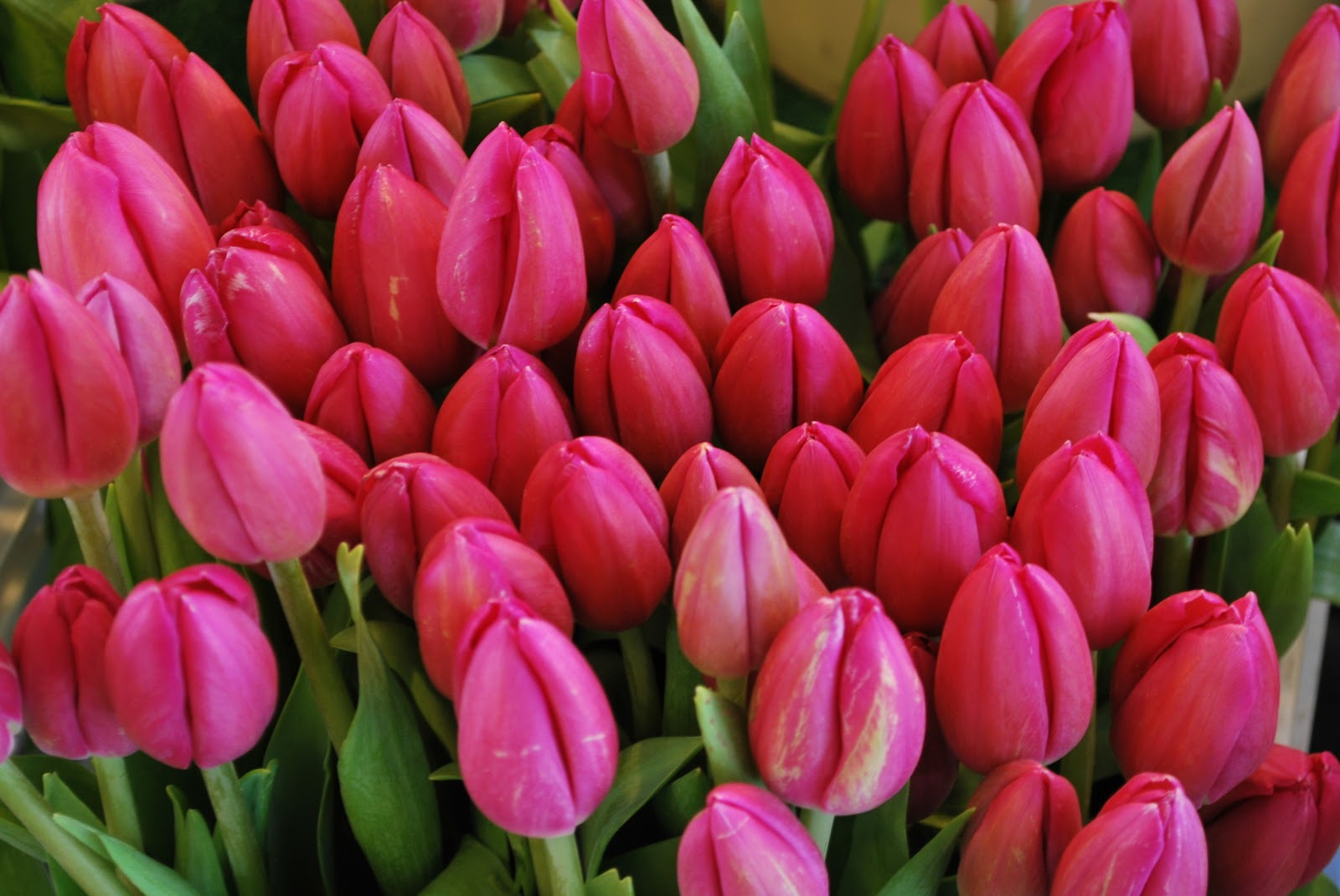 The Pacific Northwest files, part two… – Jennifer Schoenberger Design