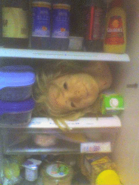 Head In The Fridge