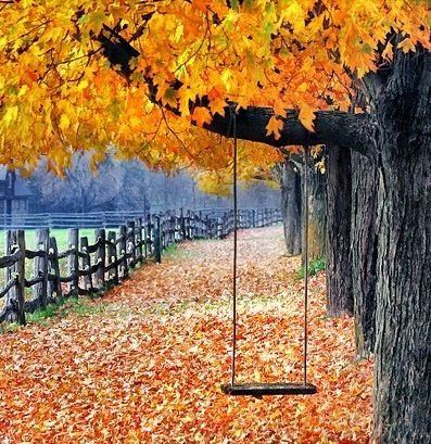 Autumn Swing | Backyards Click