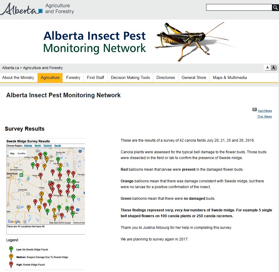 Canola midge – Prairie Pest Monitoring Network