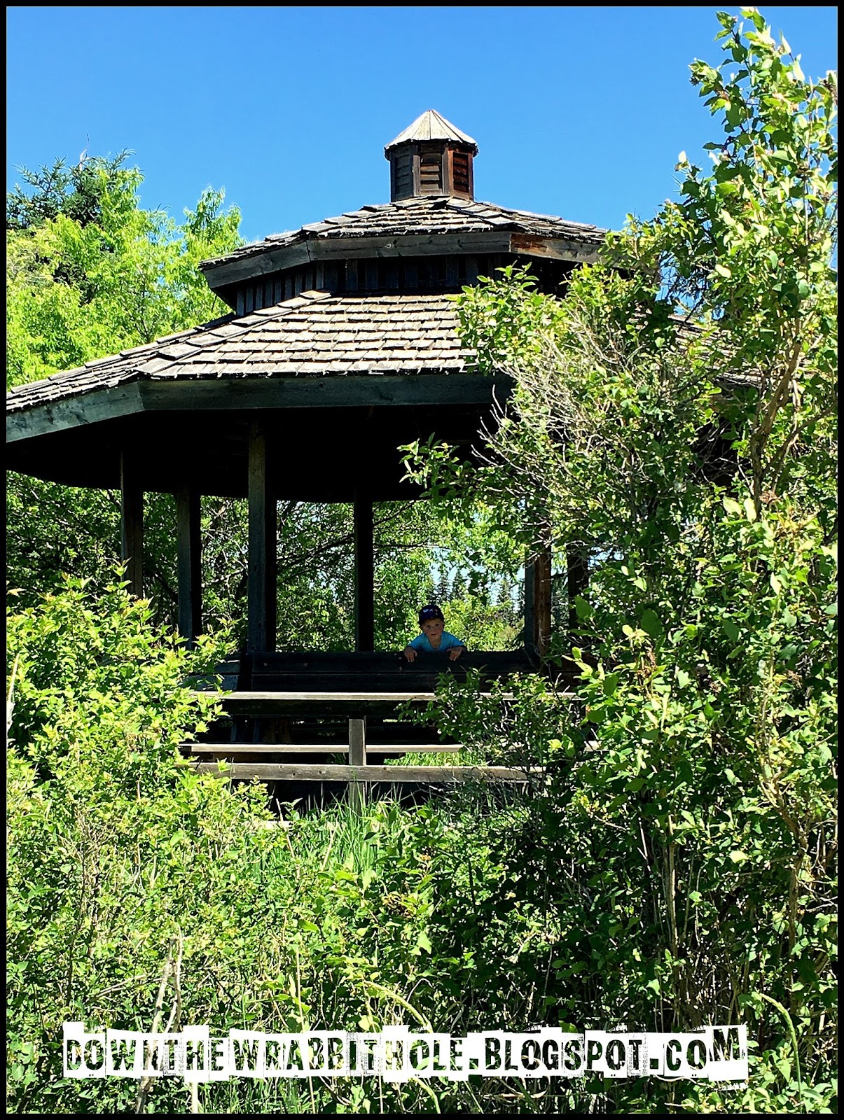 Down the Wrabbit Hole - The Travel Bucket List: The Ellis Bird Farm in ...