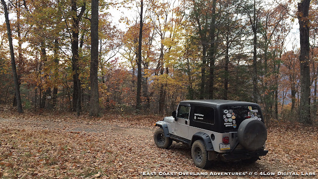 Trip Report: Exploring Buchanan State Forest (Take 1) – East Coast ...