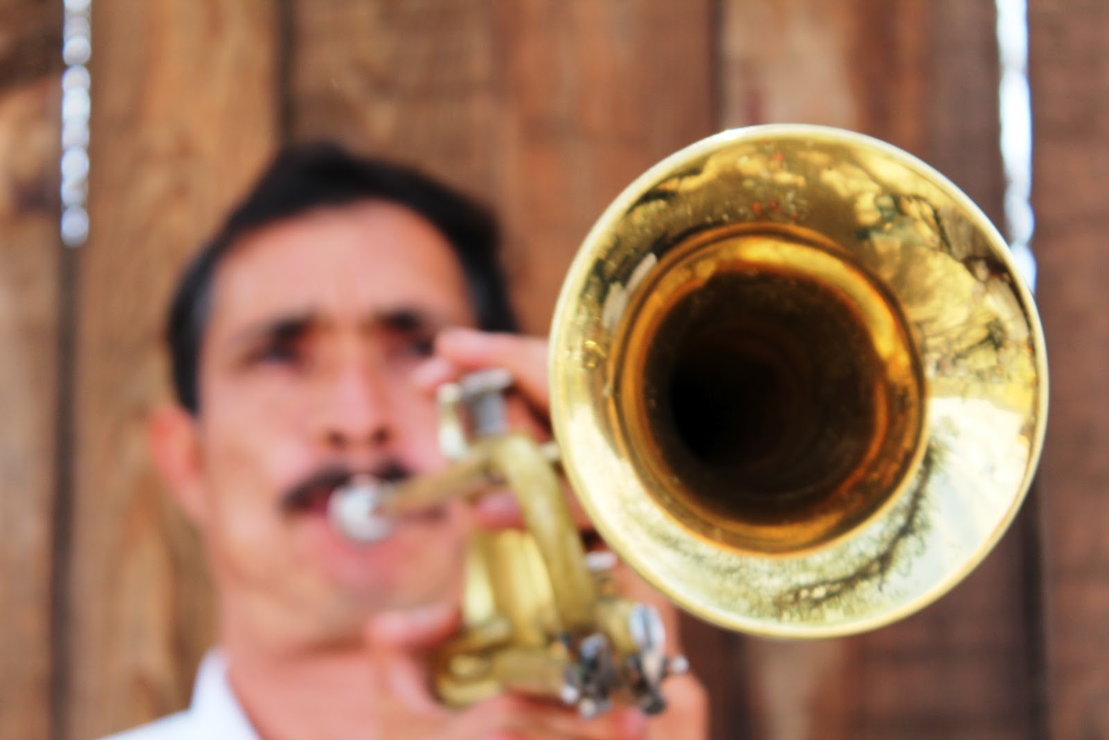 Periódico el Dictamen de Guerrero: Un músico toca su trompeta en los ...