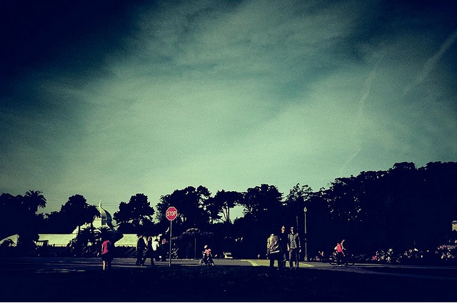 Keep Film Alive: Fujichrome Velvia 100F