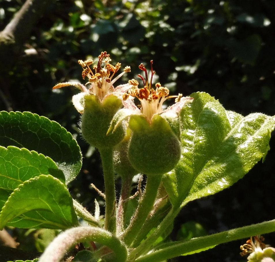 Naturwanderin: Fast rum.....