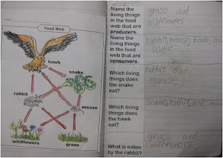 Science Notebooking: Animal Adaptations - Adrienne Teaches