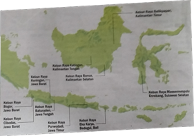Kebun Raya di Indonesia Beserta Daerahnya - Gambar dan Keterangannya