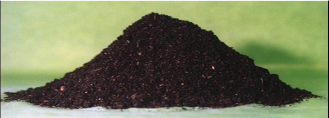 La energía en la sociedad