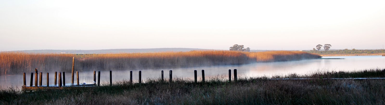 Velddrif News/Nuus: Album